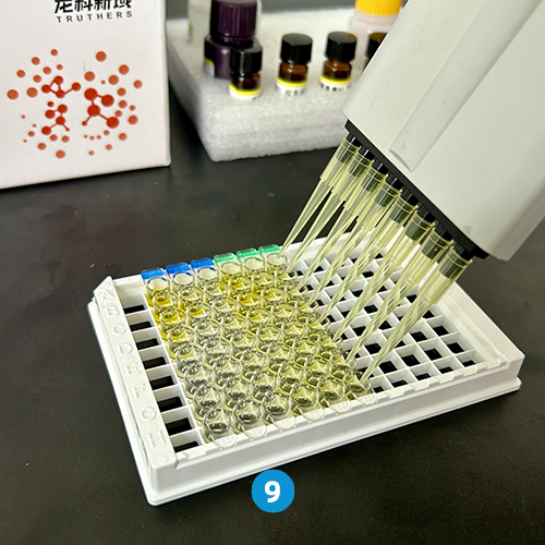 Aflatoxin B1 ELISA Rapid Test Kit - Food and feed mycotoxins, soybean ...