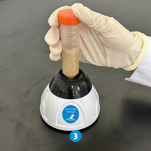 Fumonisin ELISA Rapid Test Kit-Mycotoxins-Xinyubio
