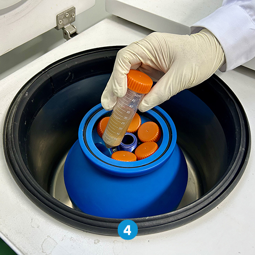 Fumonisin ELISA Rapid Test Kit-Mycotoxins-Xinyubio