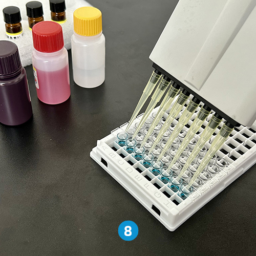 Fumonisin ELISA Rapid Test Kit-Mycotoxins-Xinyubio